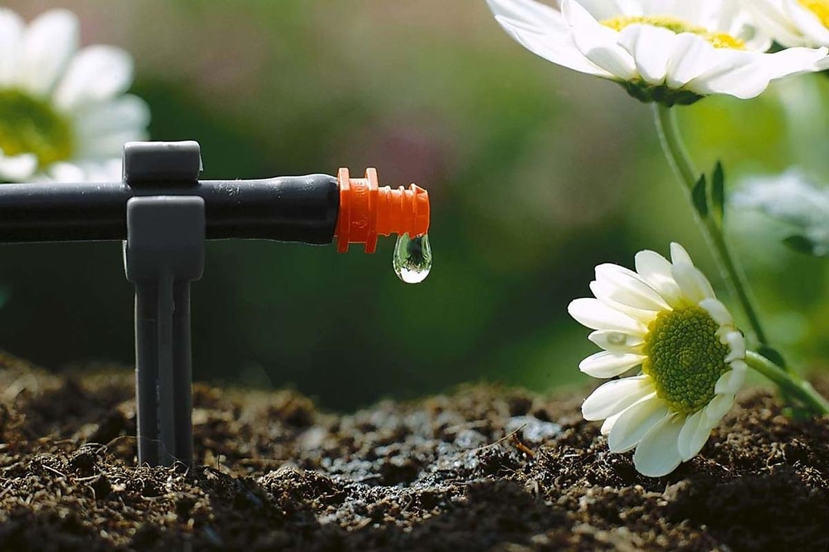 L'irrigation - Decalque Paysage